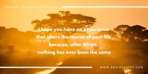 200+ African Quotes | African Proverbs | Inspired by Africa