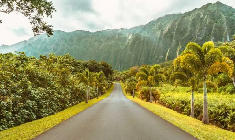 100 Useful Hawaiian Words + Phrases To Know Before Your Trip To Hawaii ...