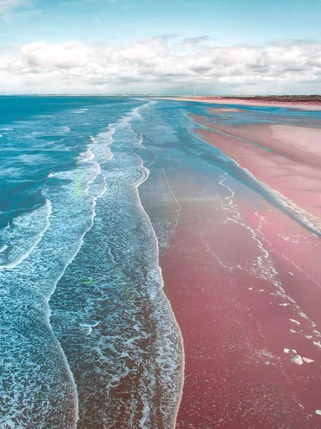 Paradise in Pink: 15 Amazing Pink Sand Beaches in the World ️