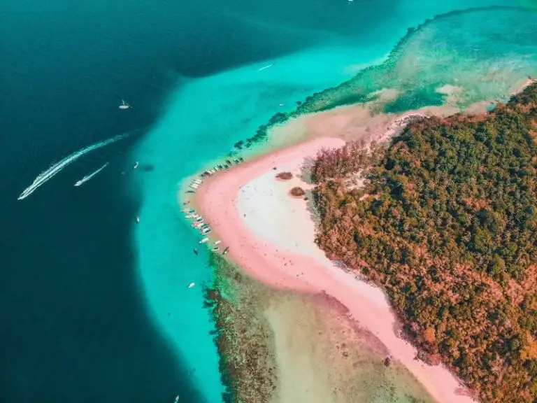 Paradise in Pink: 15 Amazing Pink Sand Beaches in the World ️