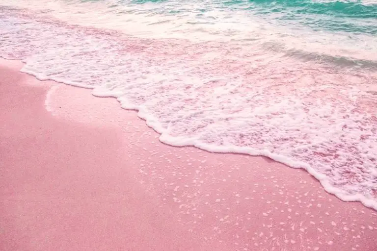Paradise in Pink: 15 Amazing Pink Sand Beaches in the World ️