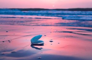 Paradise in Pink: 15 Amazing Pink Sand Beaches in the World ️