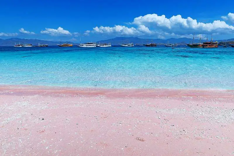 Paradise in Pink: 15 Amazing Pink Sand Beaches in the World ️