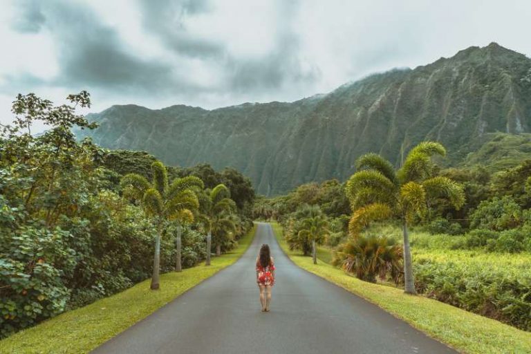 100+ Fascinatingly Fun and Interesting Facts About Hawaii | A RAI OF LIGHT