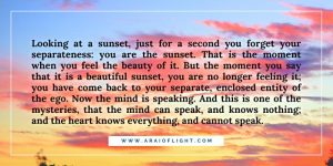 ☀️☀100+ Beautiful SUNSET QUOTES About the Magic of the Setting Sun | A ...