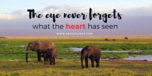 200+ Famous African Proverbs about Life, Love, and Wisdom | A RAI OF LIGHT