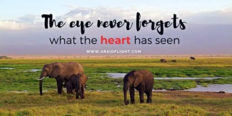 200+ Famous African Proverbs about Life, Love, and Wisdom | A RAI OF LIGHT