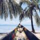 35 Essential Dominican Republic Travel Tips in 2024 [+ Top Destinations ...